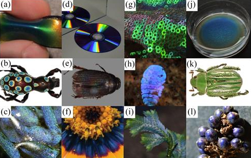 Structural color in fruits: Biomaterials to inspire physical optics ...